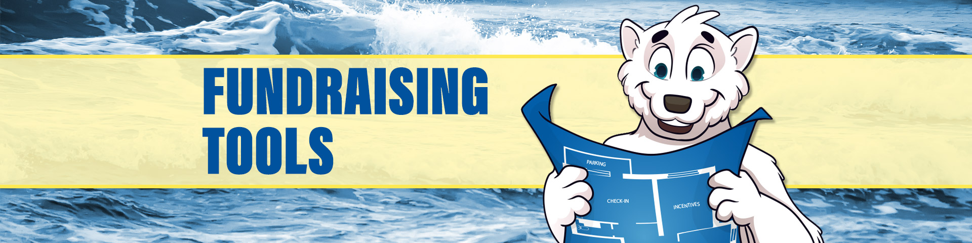 Fundraising Tools - Plunge at Wildwood